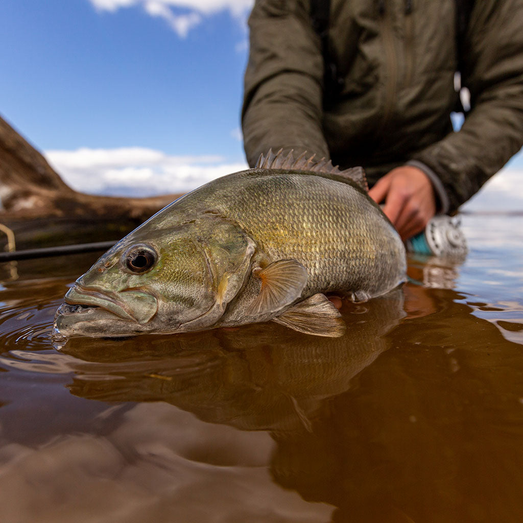 FishLung® - Premium Fish Care – O2 Air- Sea, LLC - DBA FishLung ...